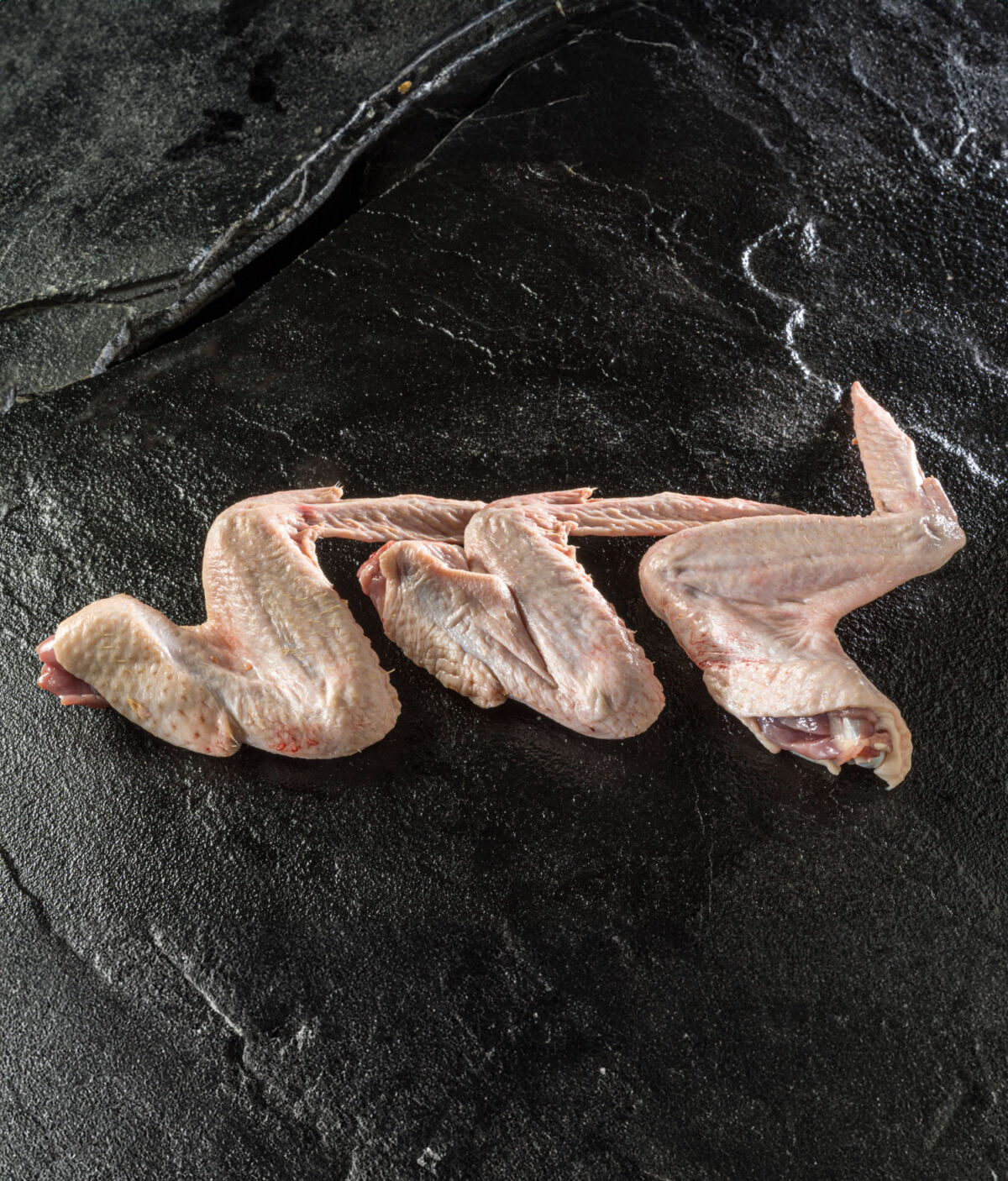 Duck Wings - Jurgielewicz Duck